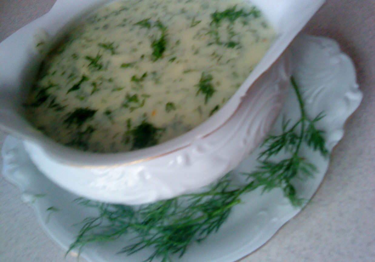 SOS KOPERKOWY - DoradcaSmaku.pl