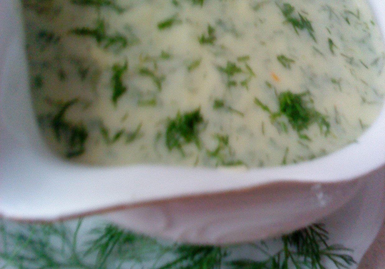 SOS KOPERKOWY - DoradcaSmaku.pl