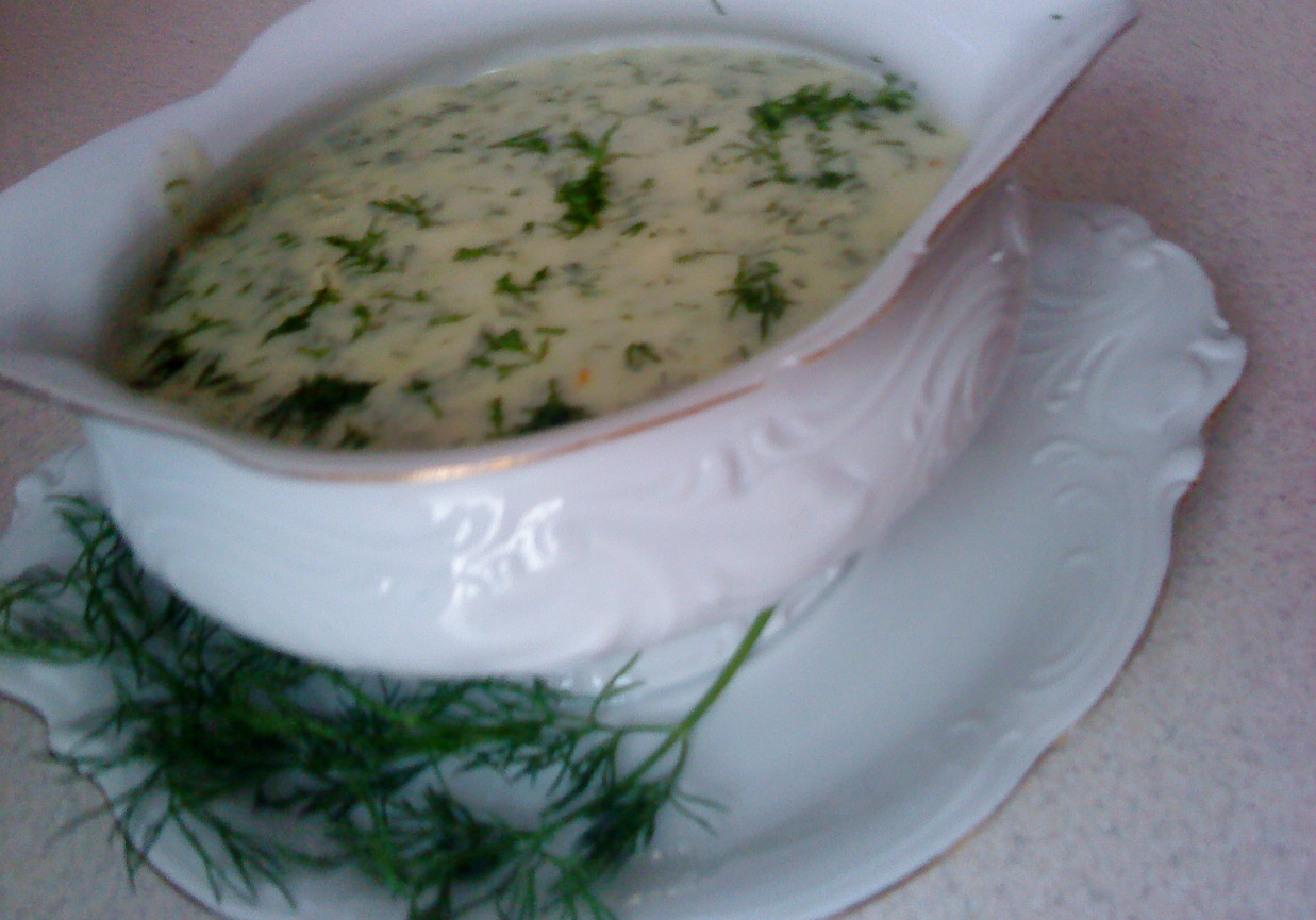 SOS KOPERKOWY - DoradcaSmaku.pl