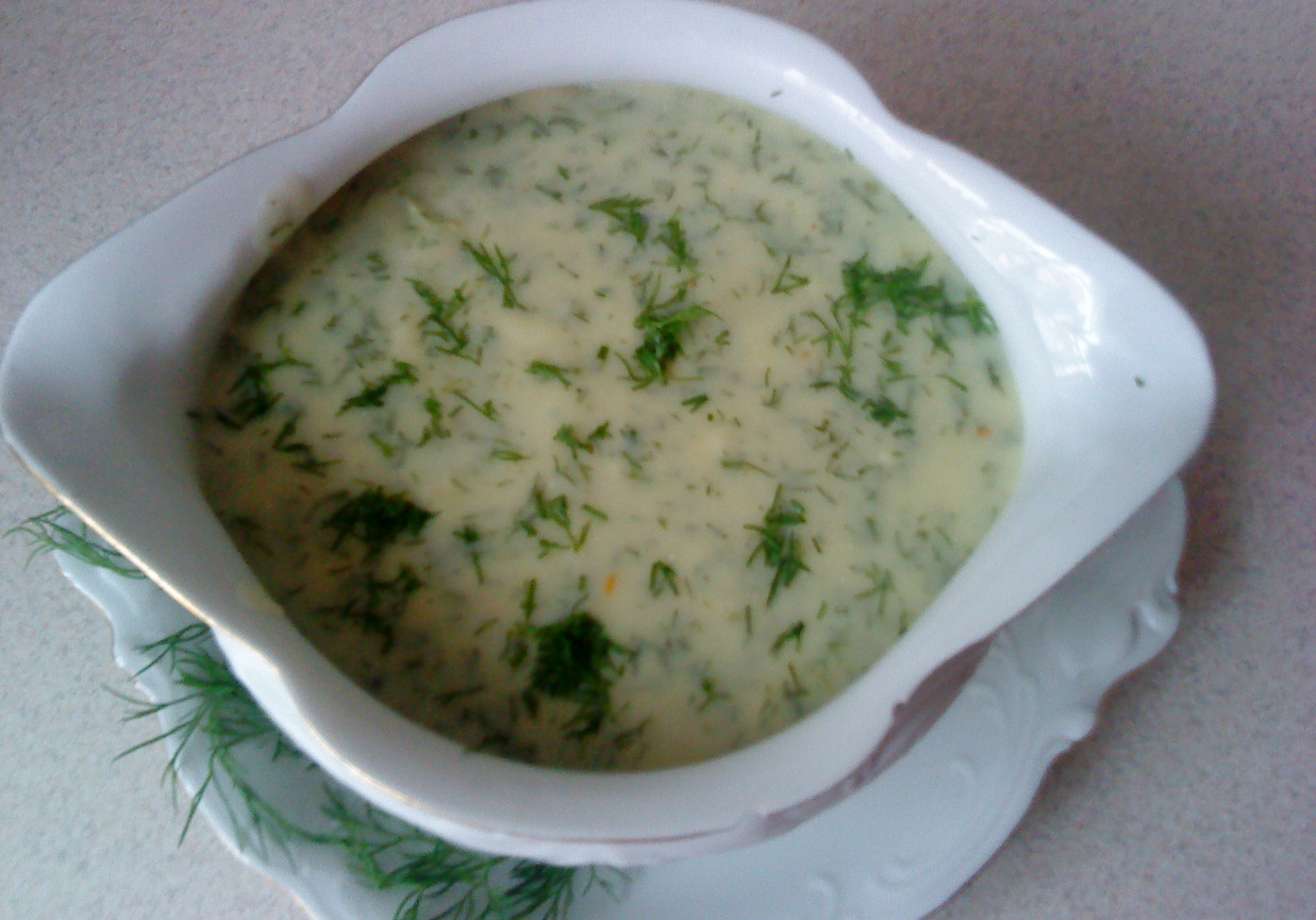 SOS KOPERKOWY - DoradcaSmaku.pl