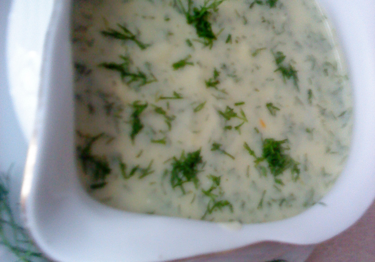 SOS KOPERKOWY - DoradcaSmaku.pl