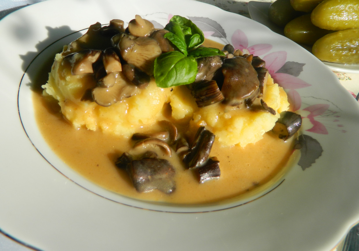 Sos z opieniek - DoradcaSmaku.pl