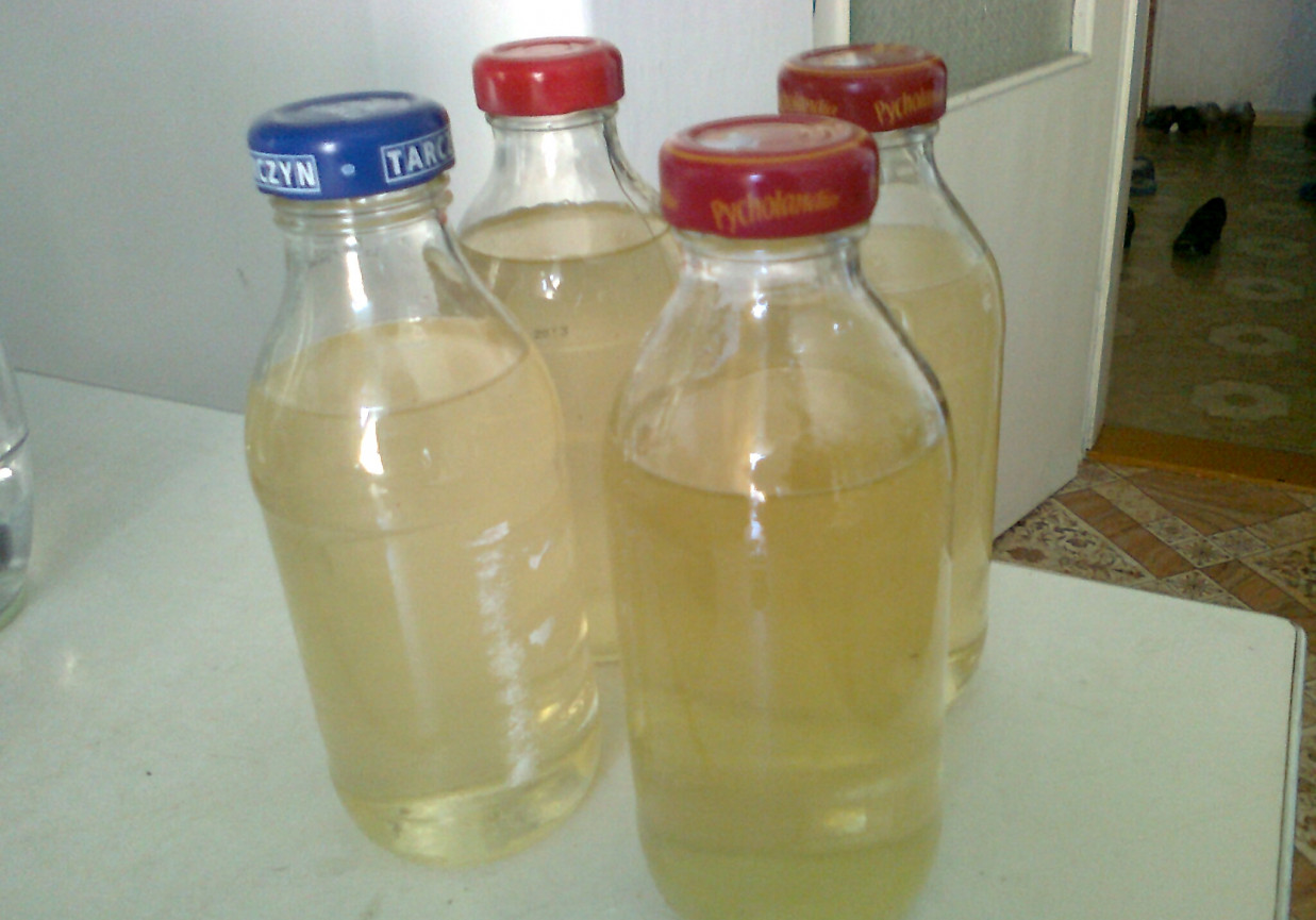 Sosnowy syrop na kaszel - DoradcaSmaku.pl