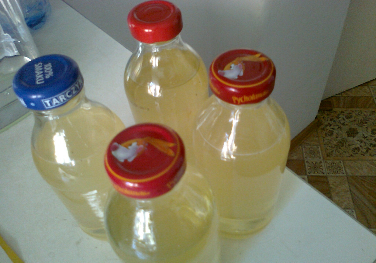 Sosnowy syrop na kaszel - DoradcaSmaku.pl