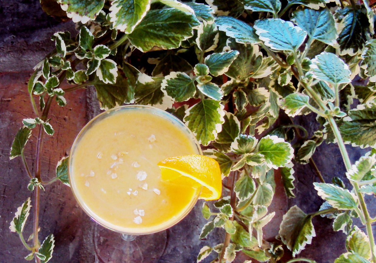 Sunny drinks - DoradcaSmaku.pl