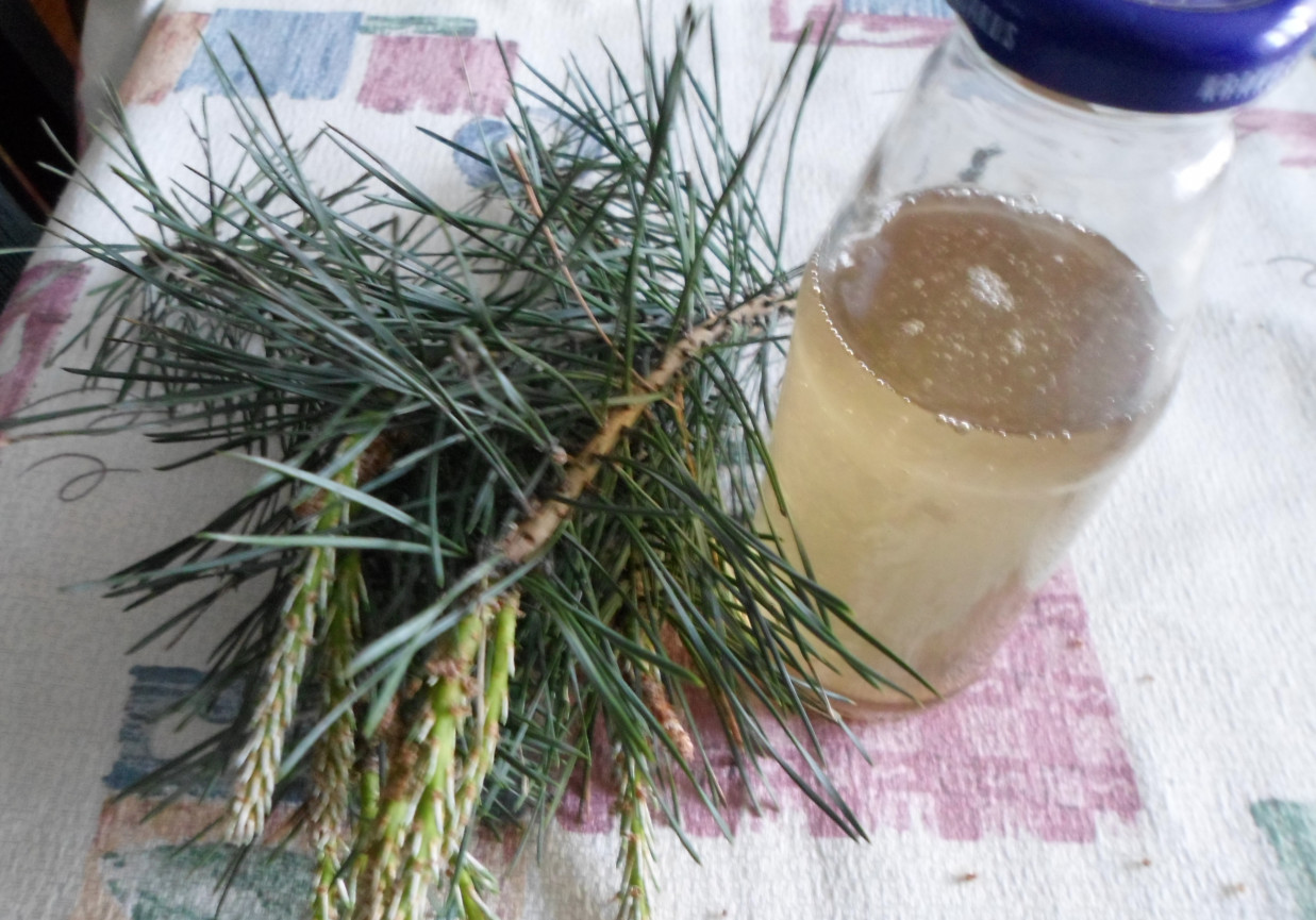 Syrop sosnowy - DoradcaSmaku.pl