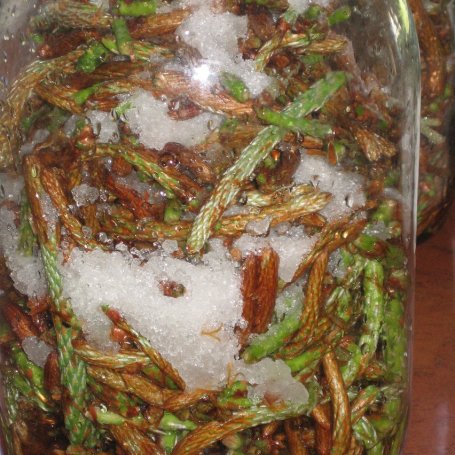 Syrop sosnowy - DoradcaSmaku.pl