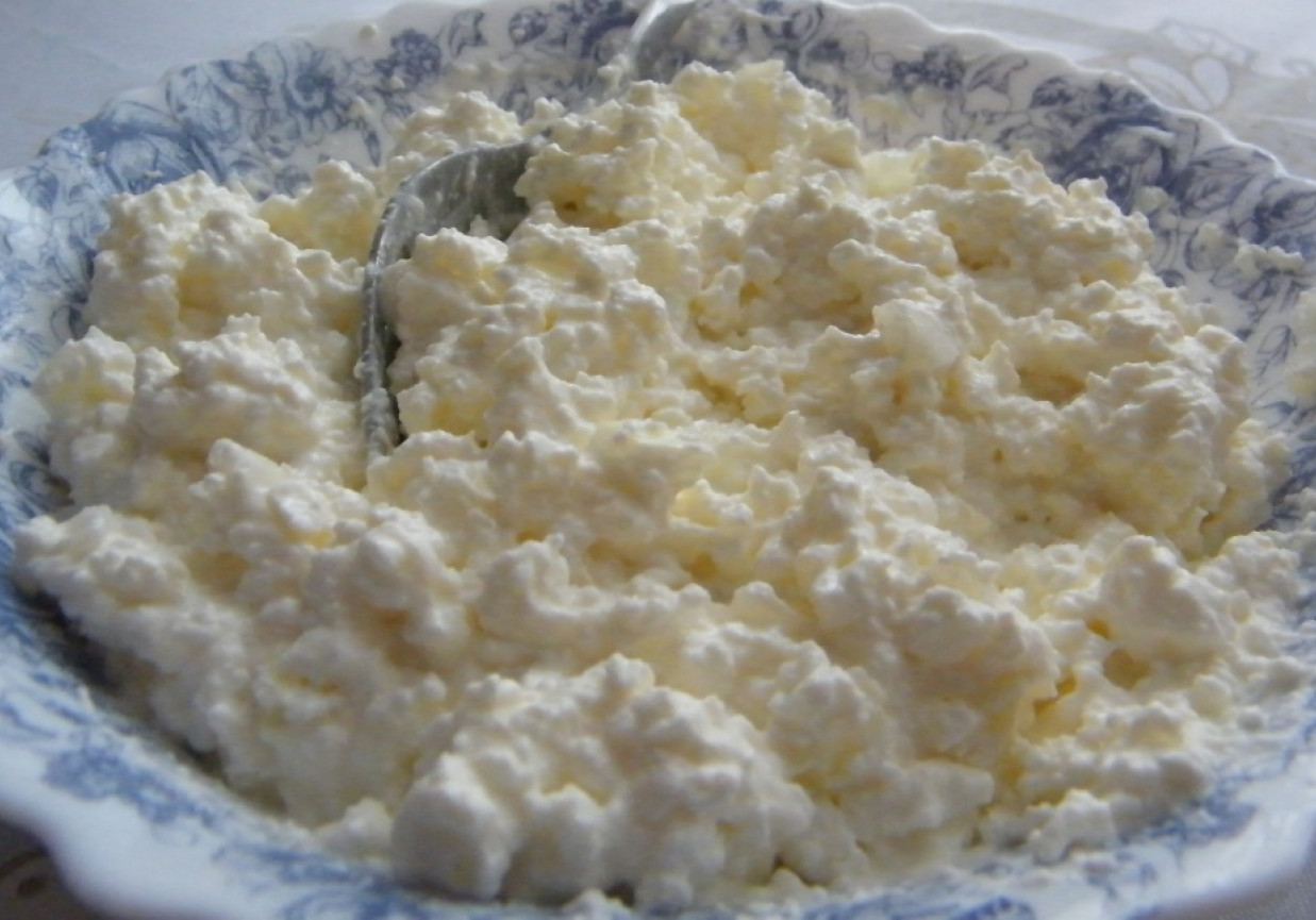 twaróg z cebulką - DoradcaSmaku.pl