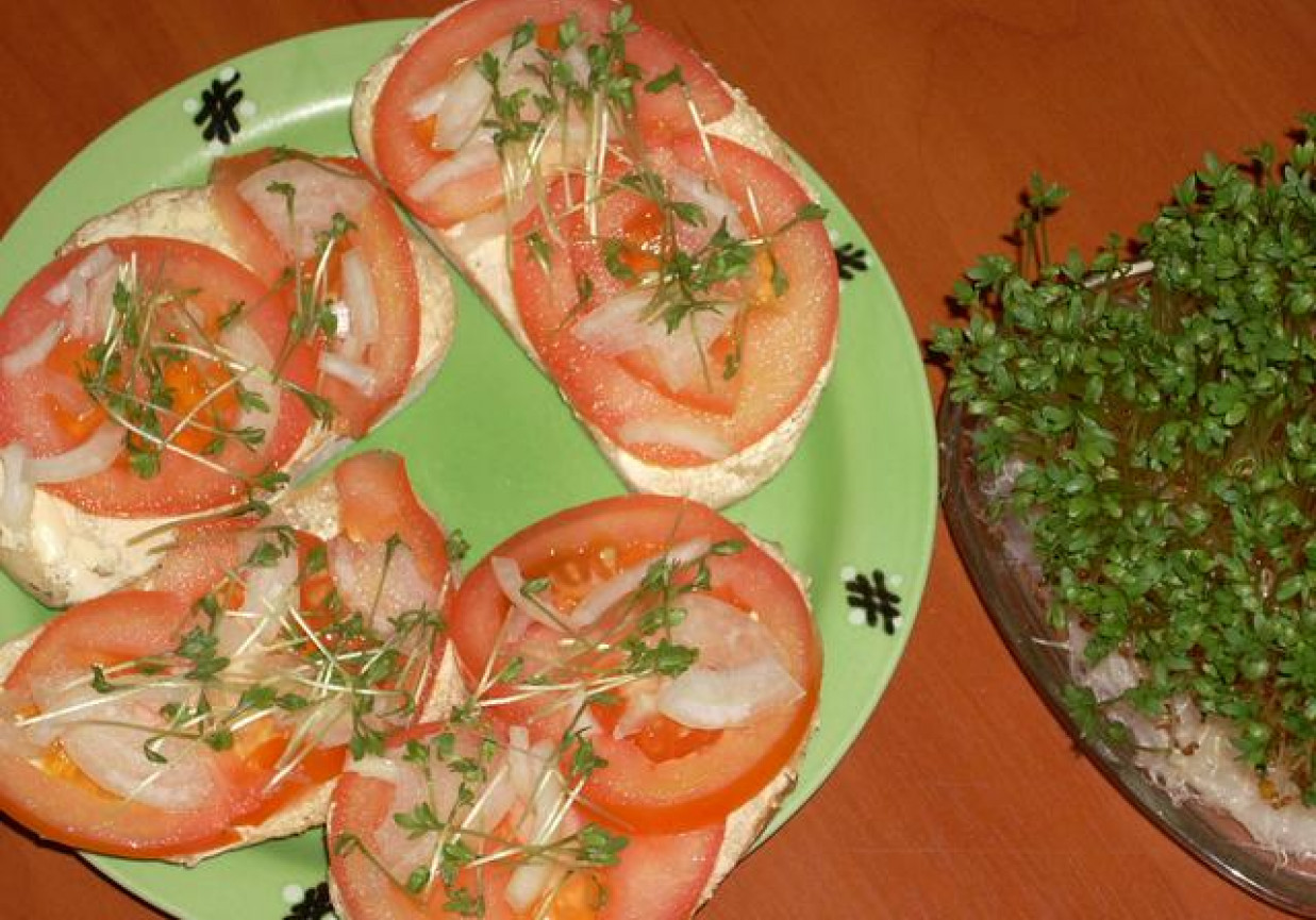 Wiosenne kanapki dla niejadków - DoradcaSmaku.pl