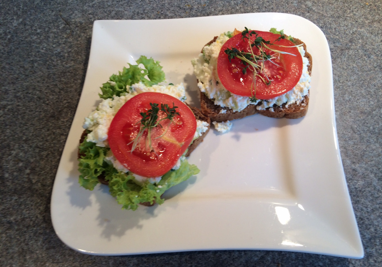 Wiosenne kanapki z twarożkiem - DoradcaSmaku.pl