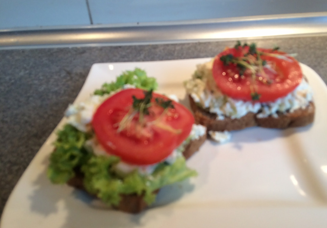 Wiosenne kanapki z twarożkiem - DoradcaSmaku.pl