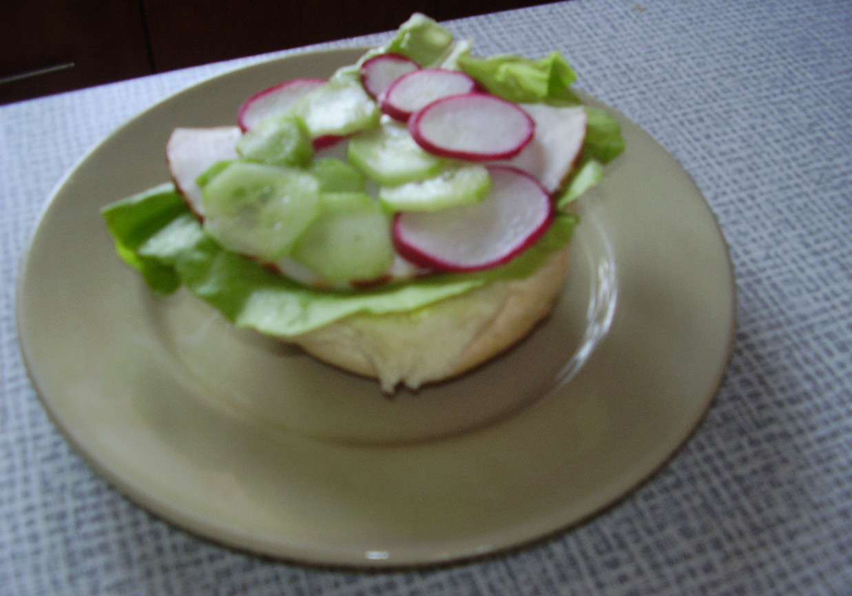 WIOSENNE KANAPKI ! - DoradcaSmaku.pl