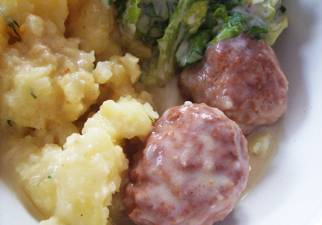 Zrazy - DoradcaSmaku.pl