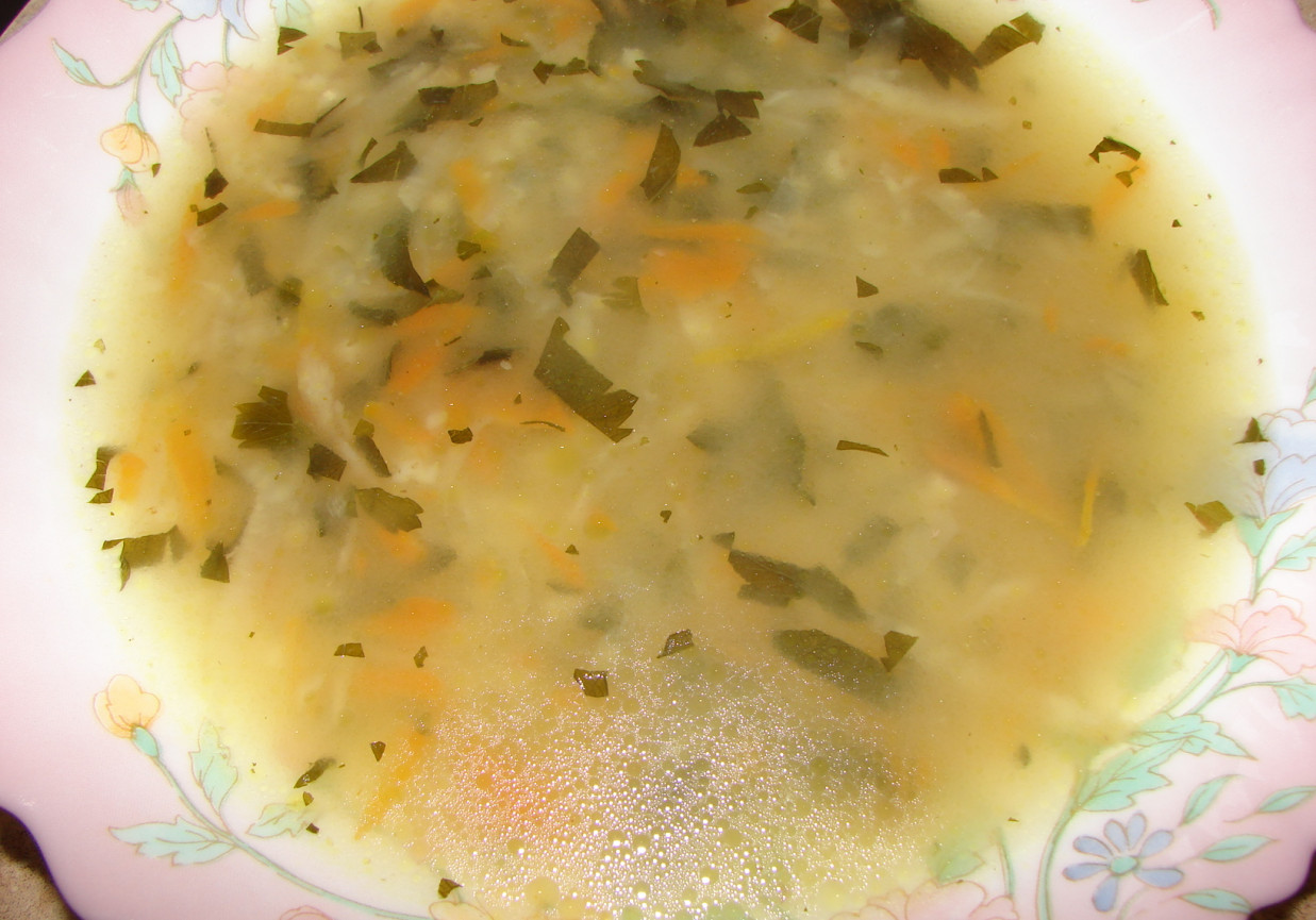 Zupa z ryżem na rosole - DoradcaSmaku.pl